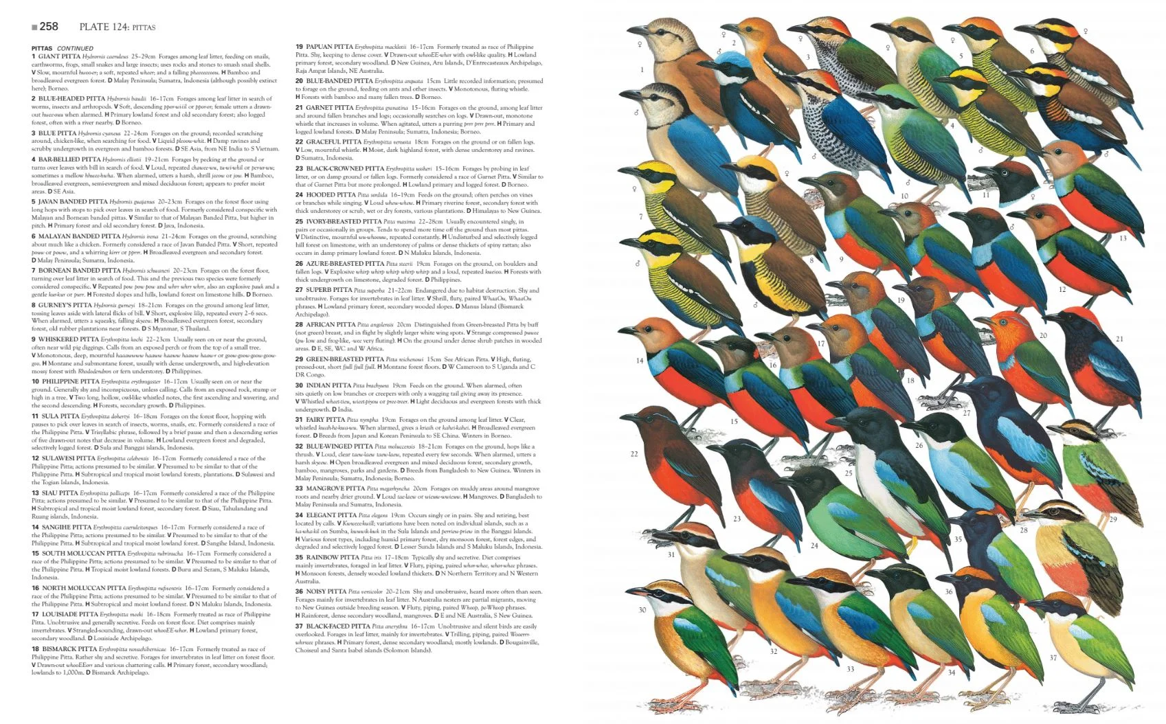 Collins Birds of the World - BirdGuides