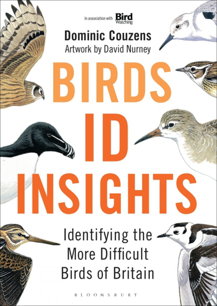 Birds: ID Insights - BirdGuides