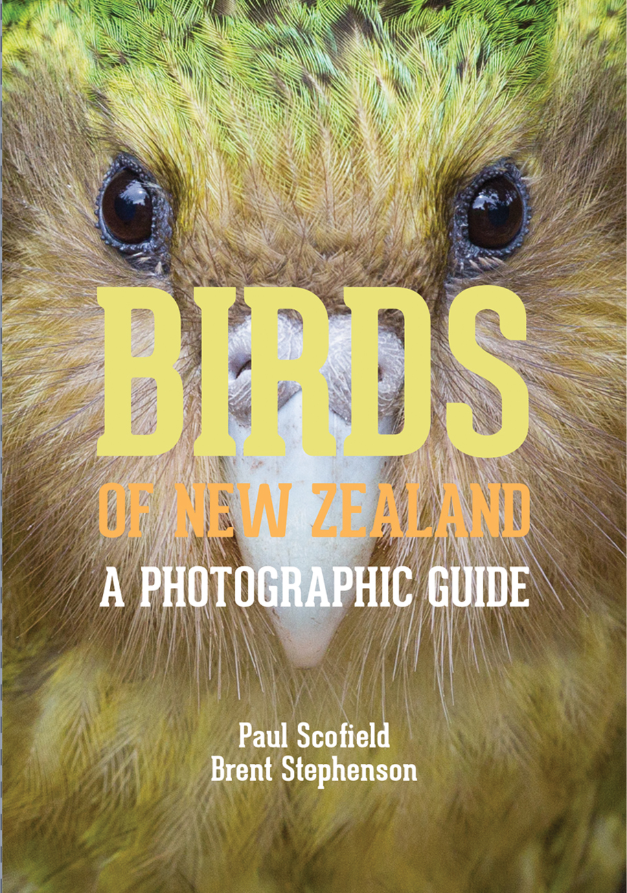 Birds of New Zealand: A Photographic Guide - BirdGuides