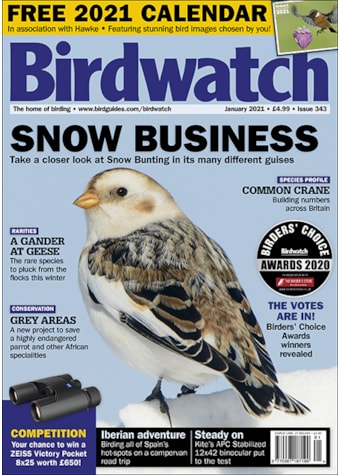 Birdwatch January 2021 - BirdGuides