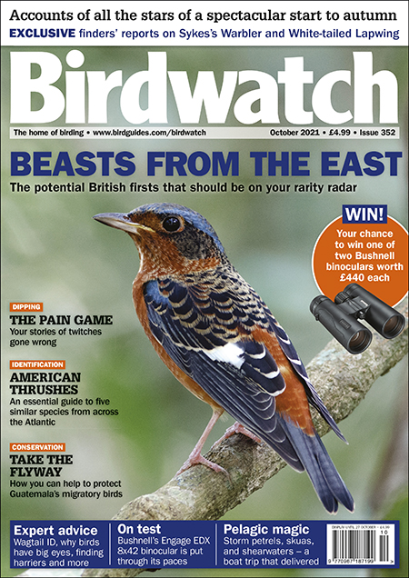 Birdwatch - October 2021 - BirdGuides