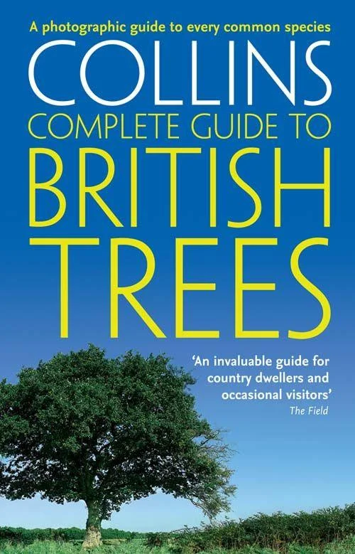 British Trees: A photographic guide to every common species - BirdGuides