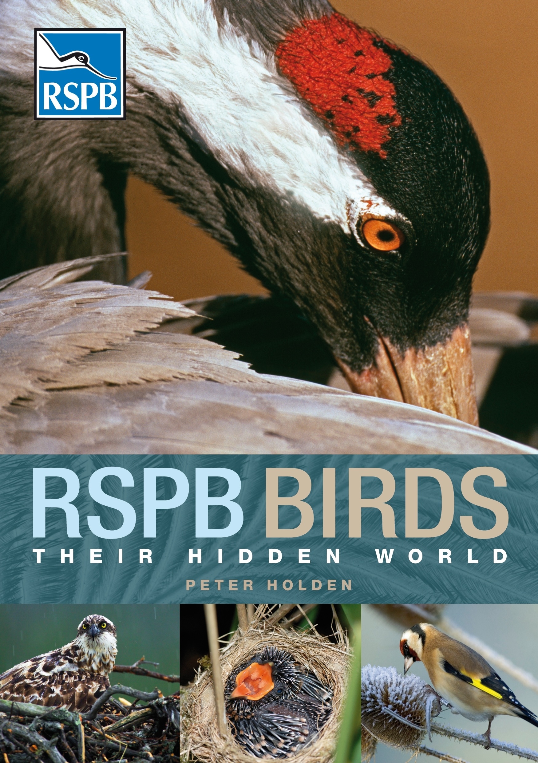 RSPB Birds: their Hidden World - BirdGuides