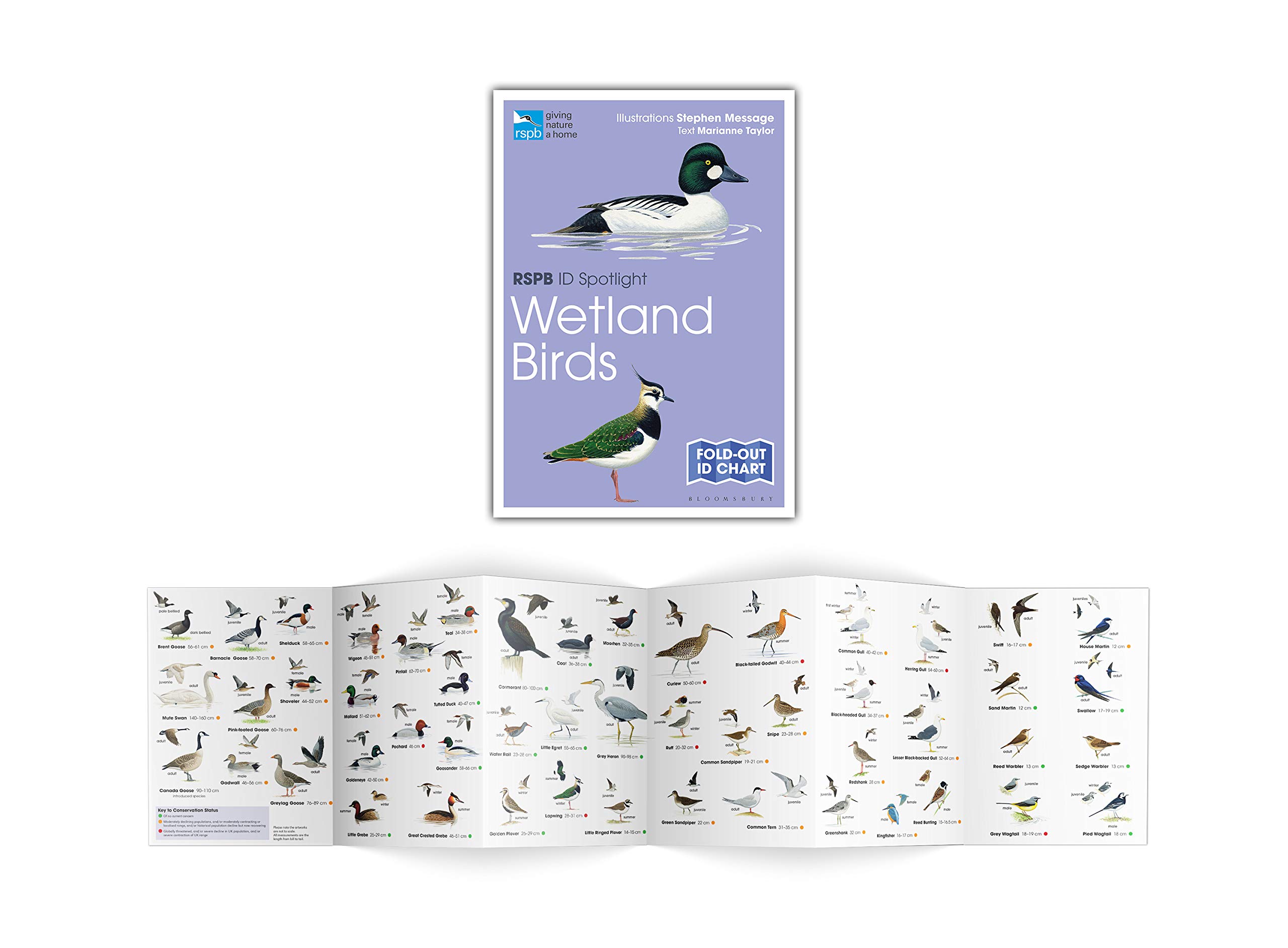 RSPB ID Spotlight - Wetland Birds - BirdGuides