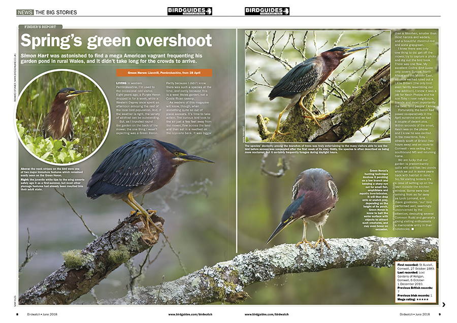 Birdwatch - BirdGuides