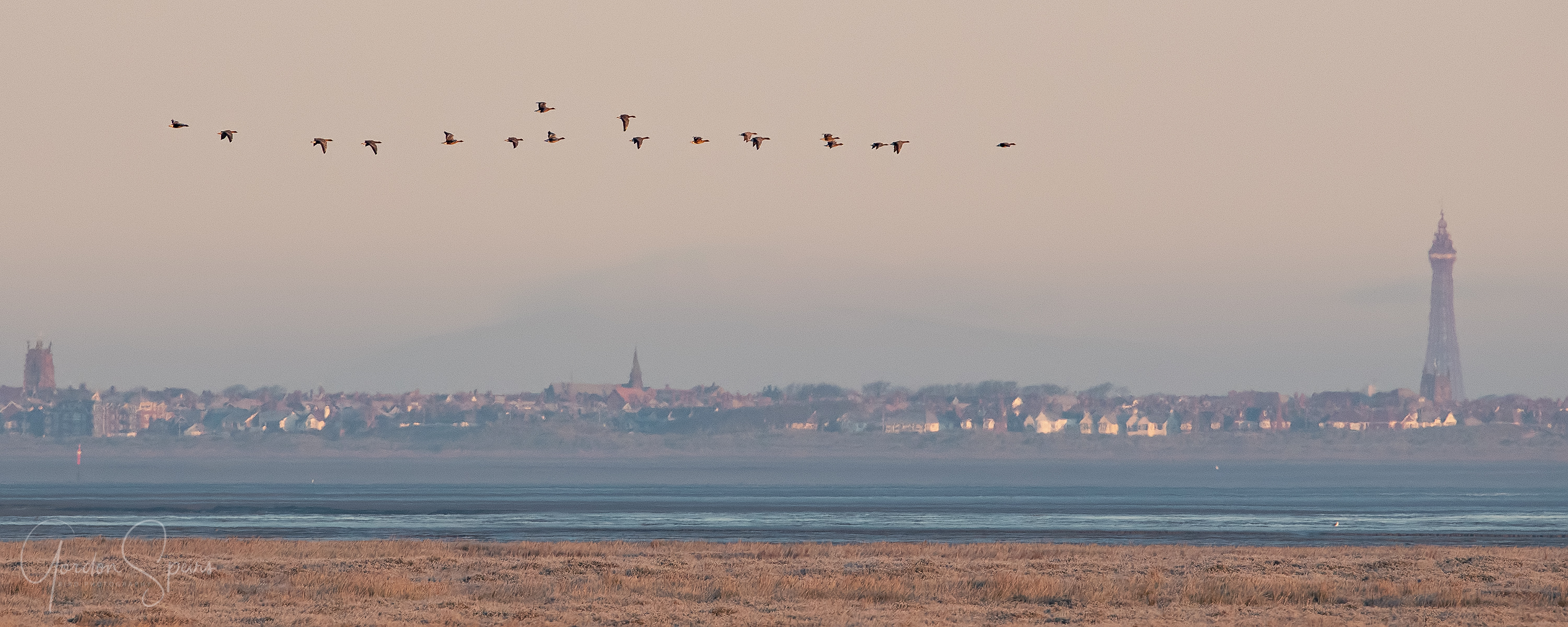 Landmark expansion for Ribble Estuary NNR - BirdGuides