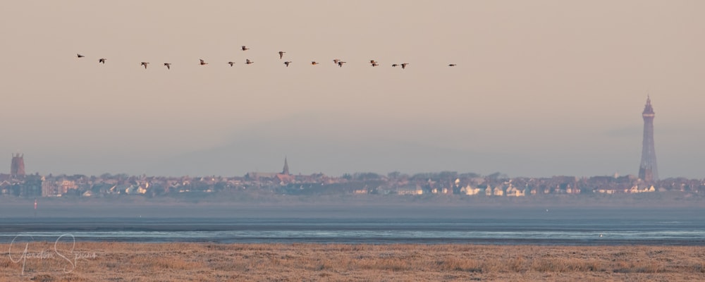 Landmark expansion for Ribble Estuary NNR - BirdGuides