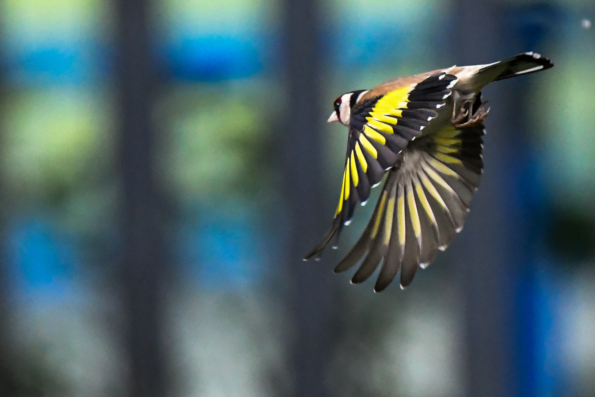 Birdwatching Sites in West Midlands - BirdGuides