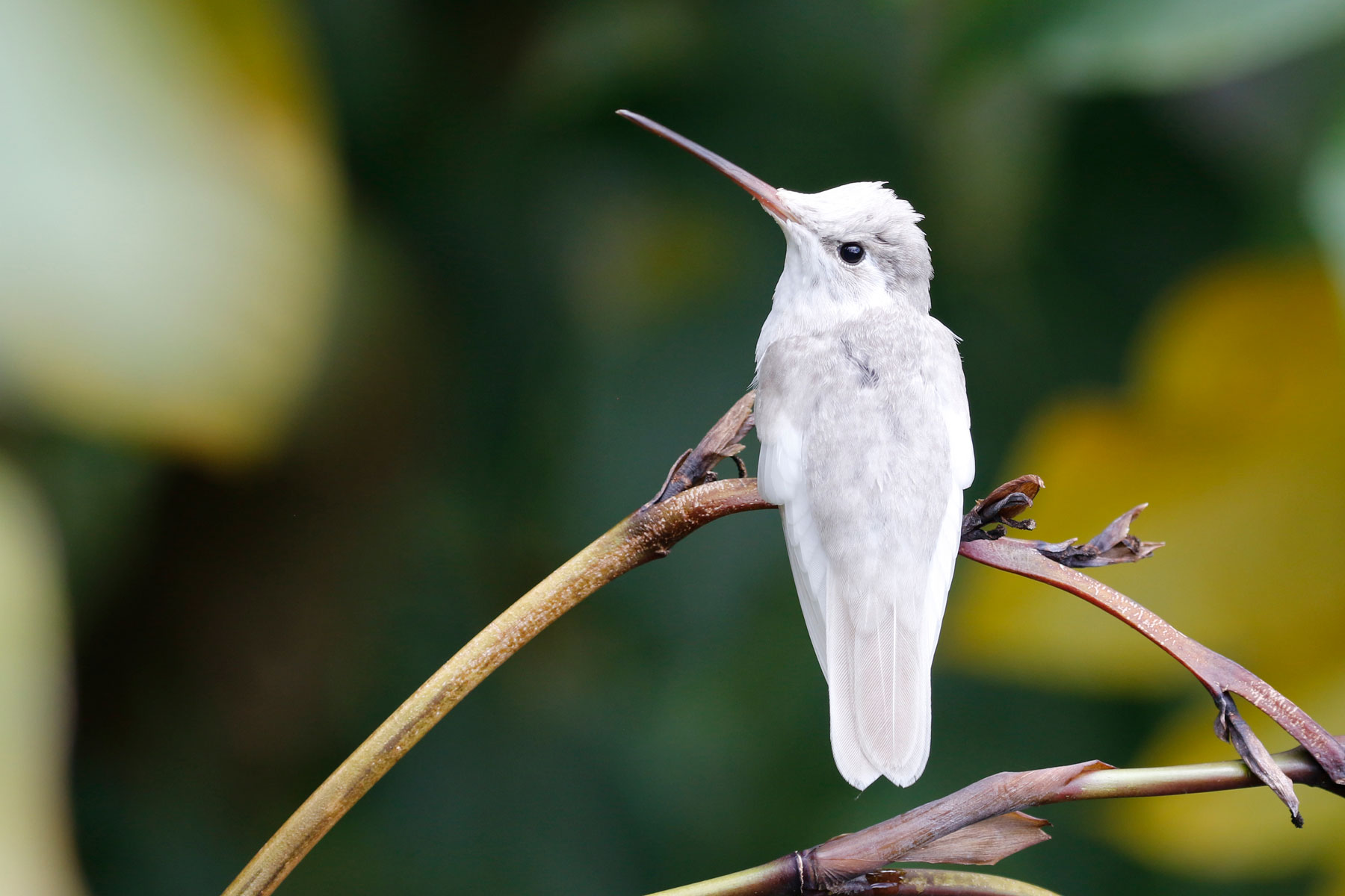 Postcards from afar: the very best from our worldwide photo galleries ...