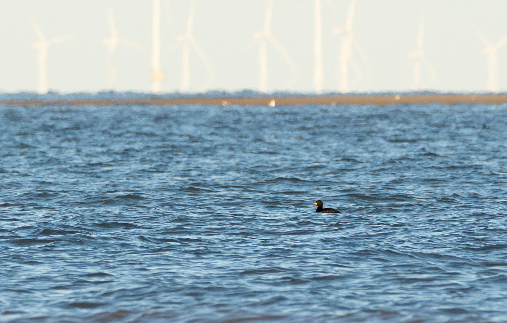 Birdwatching Sites in Cheshire - BirdGuides