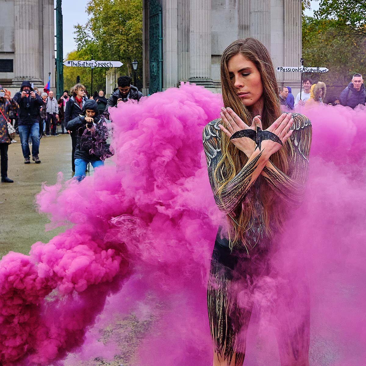 Wildlife lovers urged to sign swift brick petition - BirdGuides