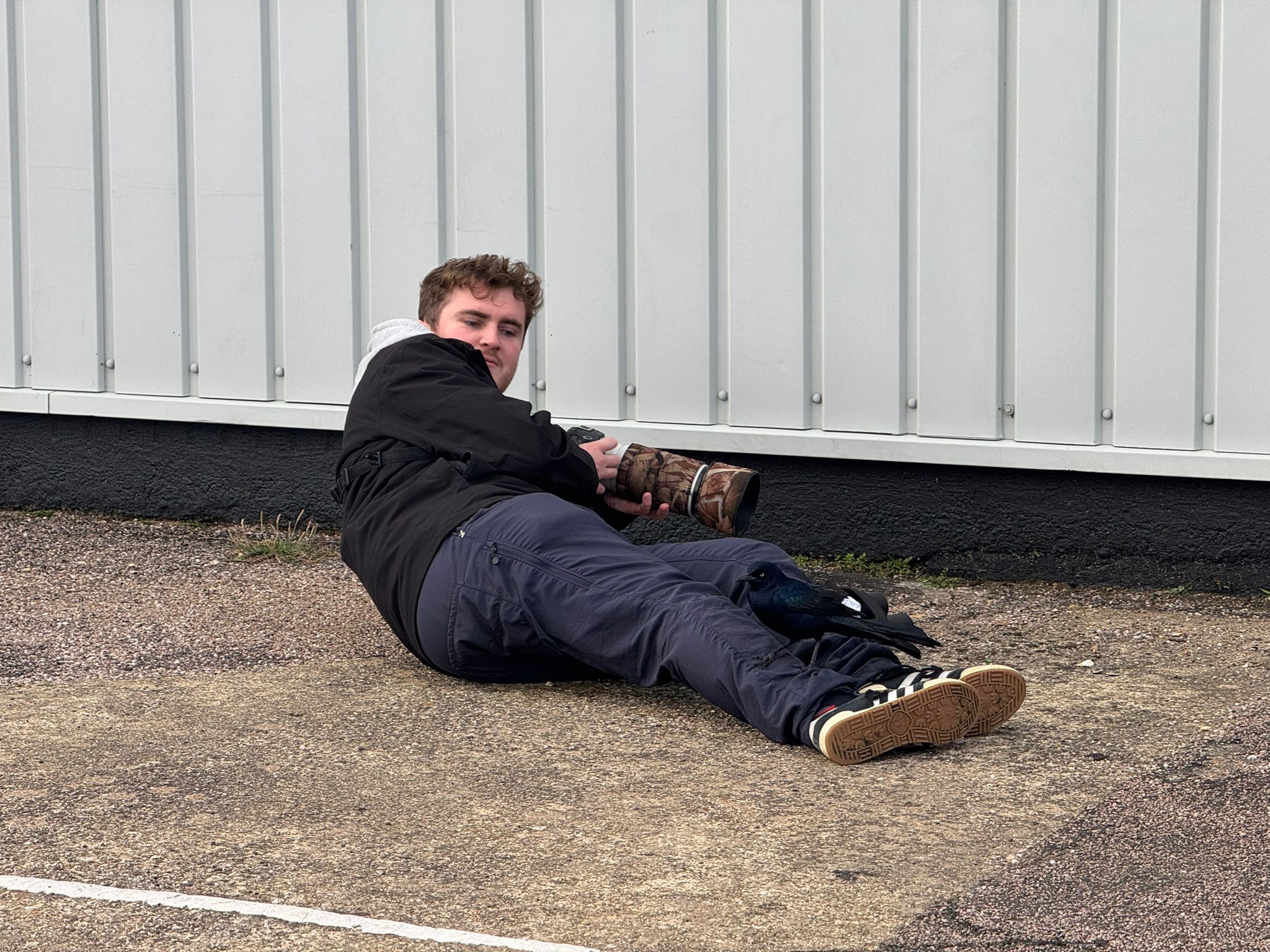 Britain's first Boat-tailed Grackle draws crowds to Hampshire - BirdGuides