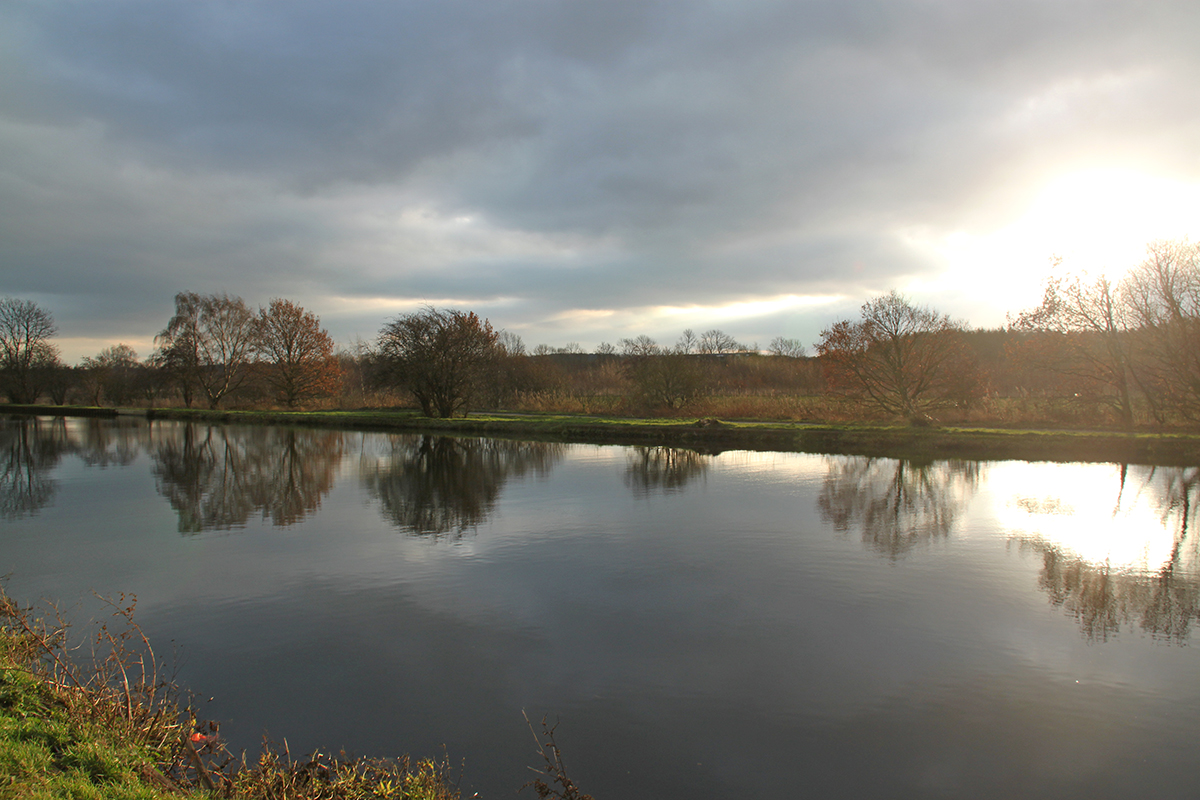 HS2 will cause huge damage to nature - BirdGuides