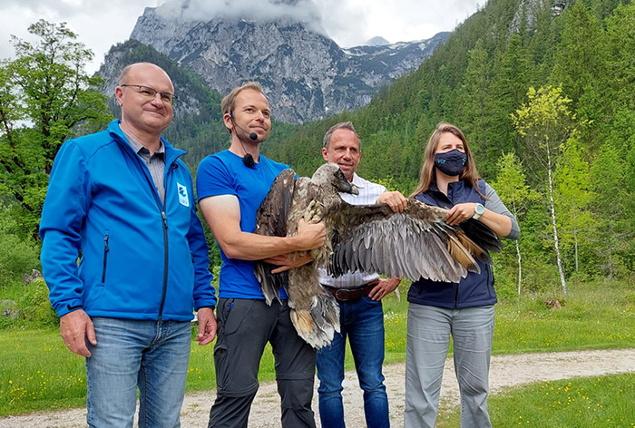 Bearded Vulture reintroduced to Germany - BirdGuides