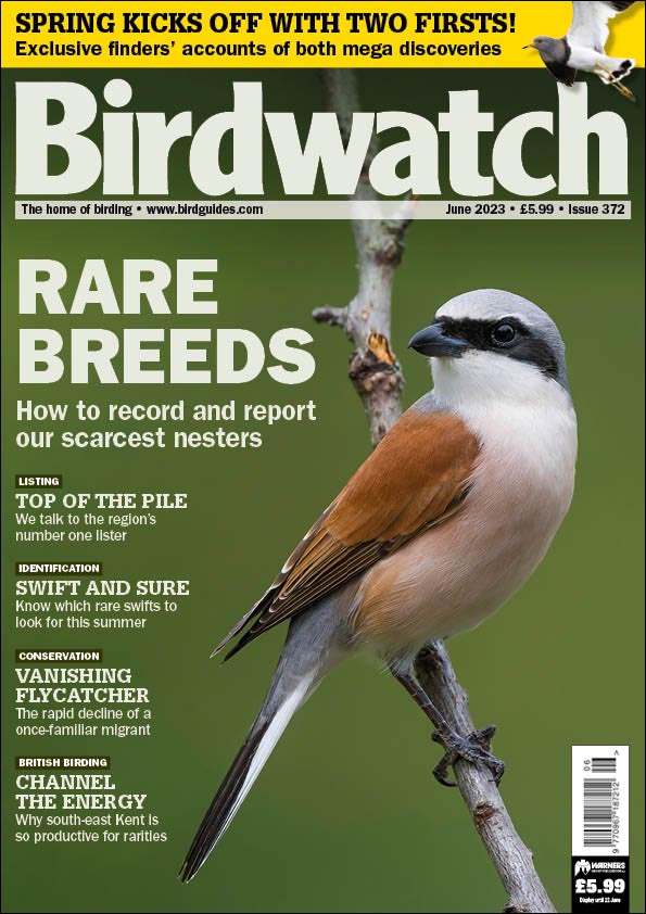 Inside the June 2023 issue of Birdwatch - BirdGuides