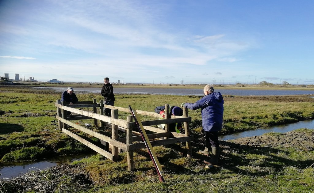 New wetland project commences at RSPB Saltholme - BirdGuides