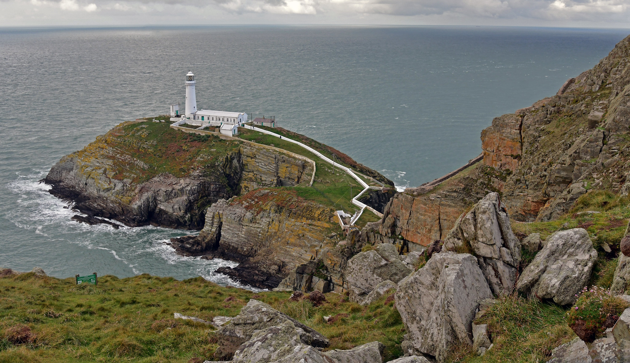 South Stack seabirds threatened by development - BirdGuides
