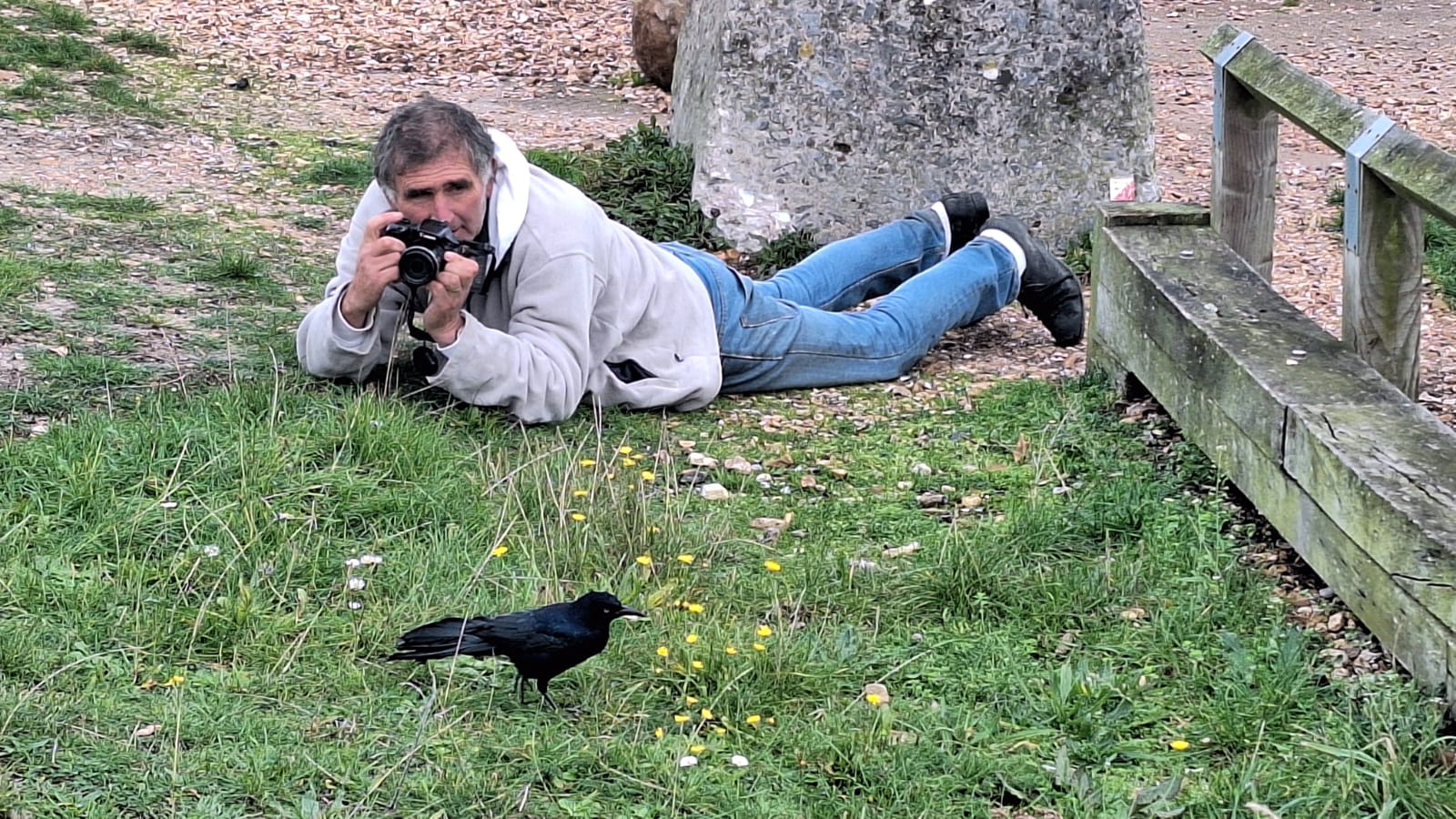 Britain's first Boat-tailed Grackle draws crowds to Hampshire - BirdGuides