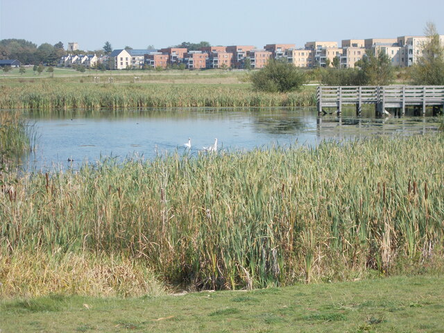 Future of Cambridgeshire nature reserve secured - BirdGuides