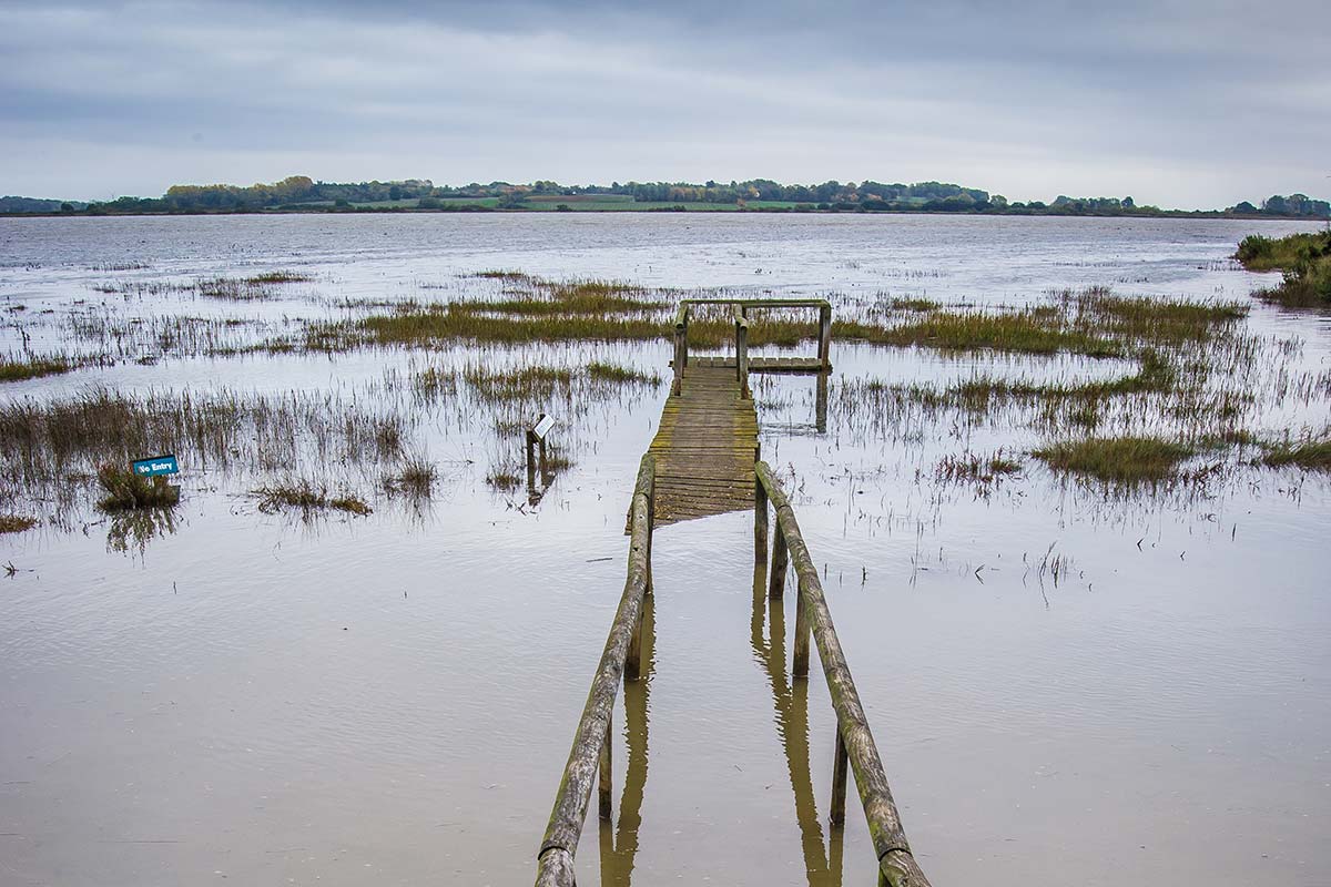 Natural flood management crucial for the future, according to report ...