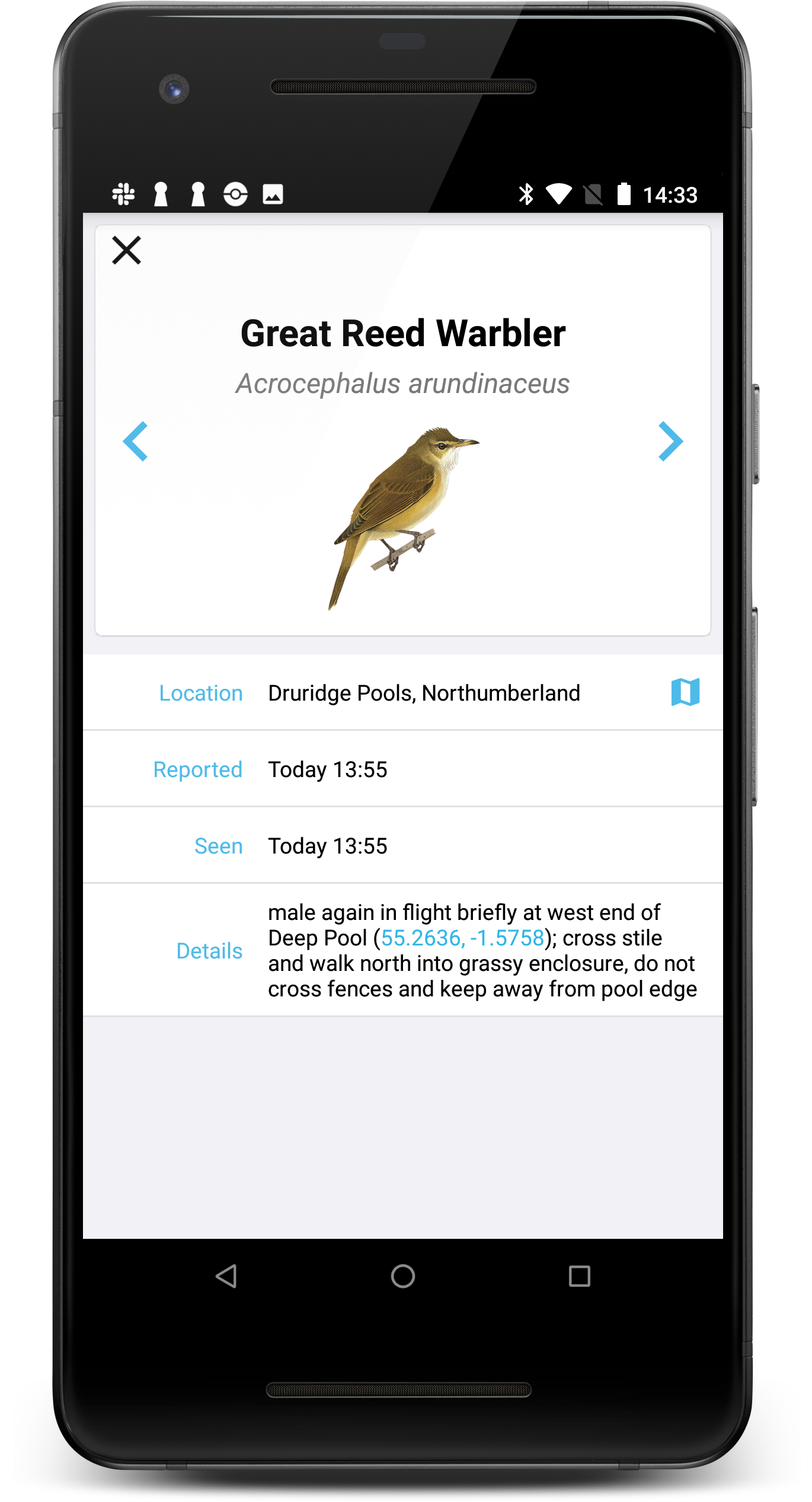 Updated news app available - BirdGuides