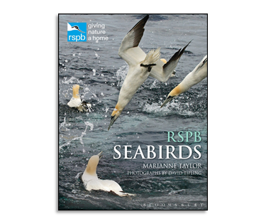 July/August top 10 books - BirdGuides