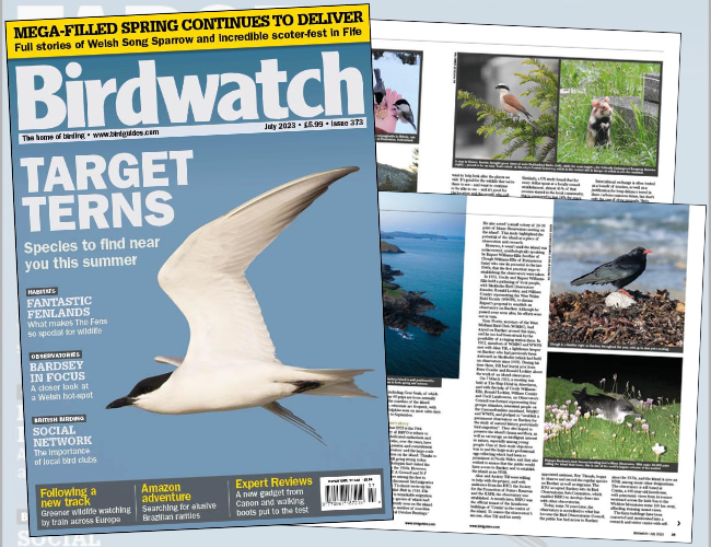 Inside the July 2023 issue of Birdwatch - BirdGuides