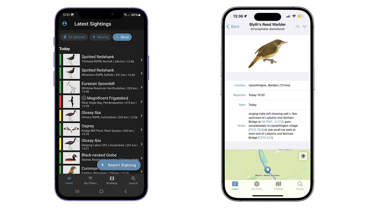 The all-new BirdGuides app is now available to download! - BirdGuides