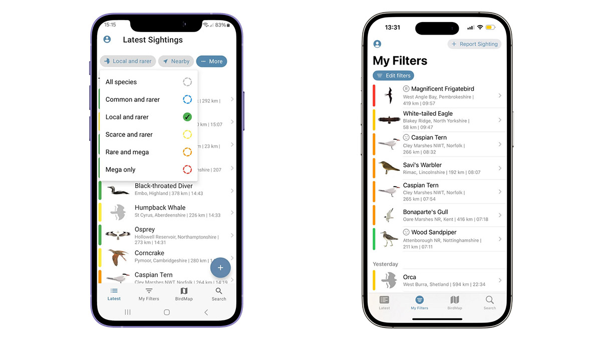 The all-new BirdGuides app is now available to download! - BirdGuides