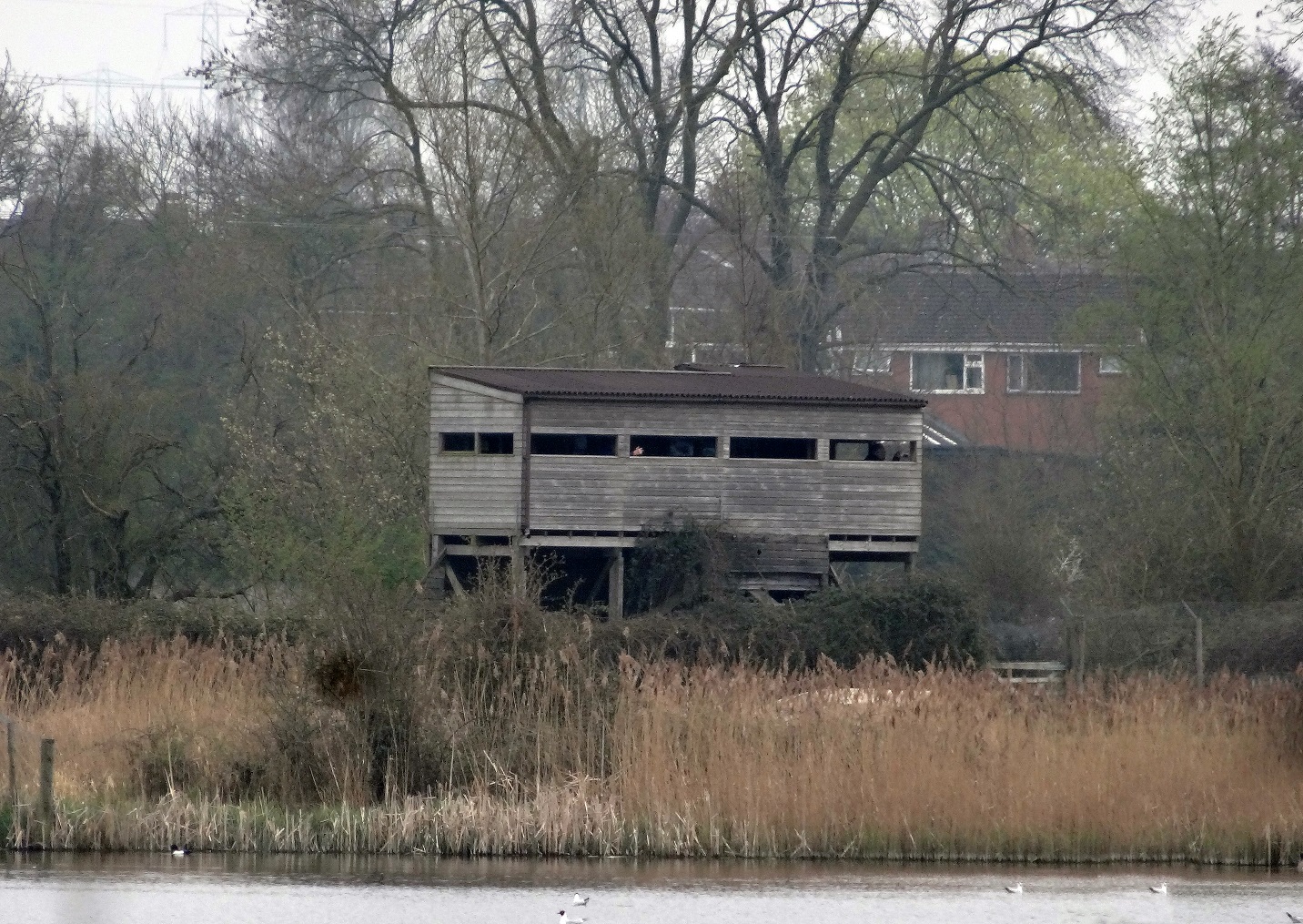 Upton Warren set for £100k facelift - BirdGuides