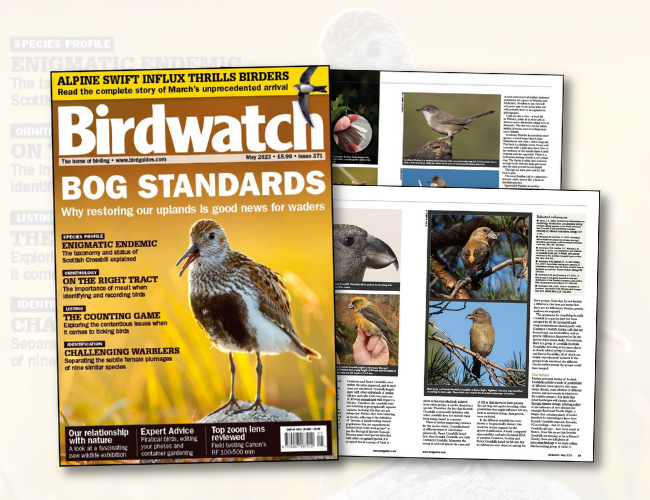 Inside the May 2023 issue of Birdwatch - BirdGuides