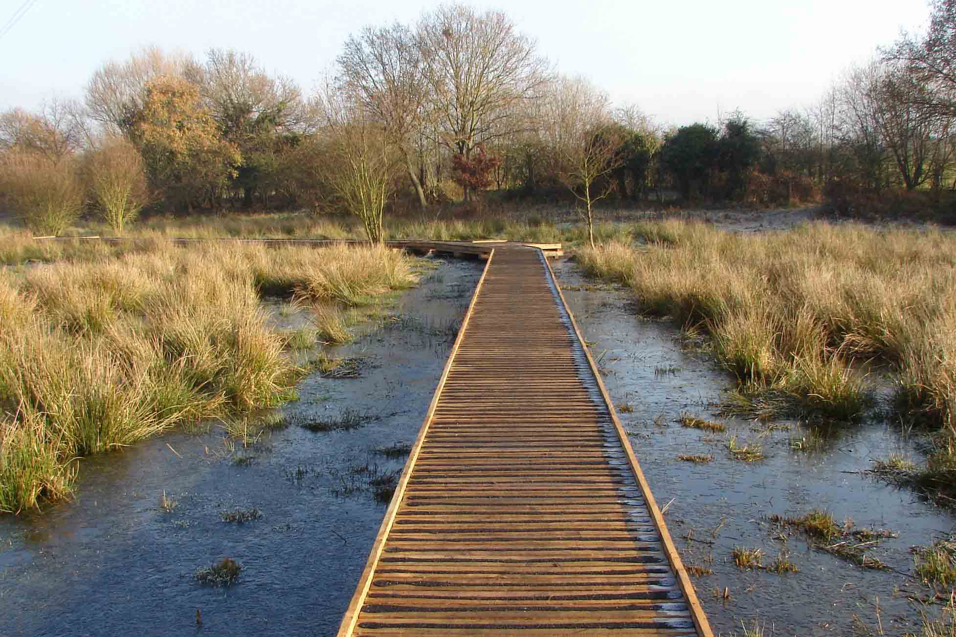 Surrey nature reserve to receive £1m investment - BirdGuides