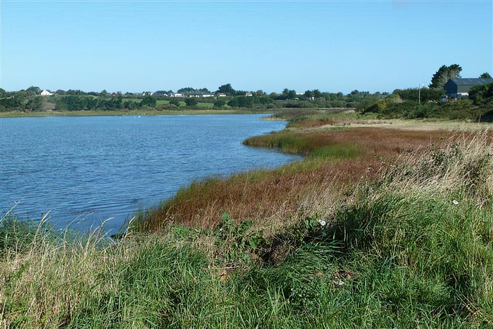 Scientists reveal extreme pollution levels at Irish lagoon - BirdGuides