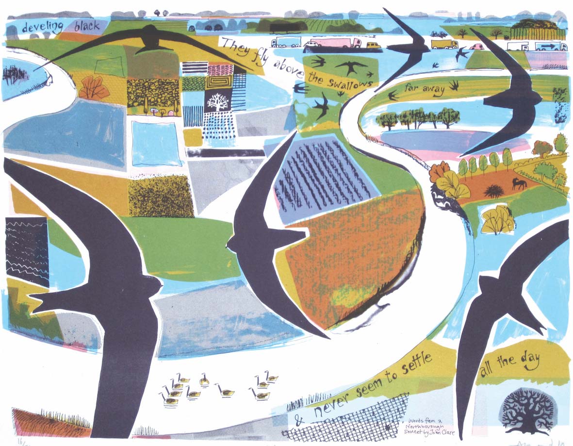 SOC reveals summer art exhibitions - BirdGuides