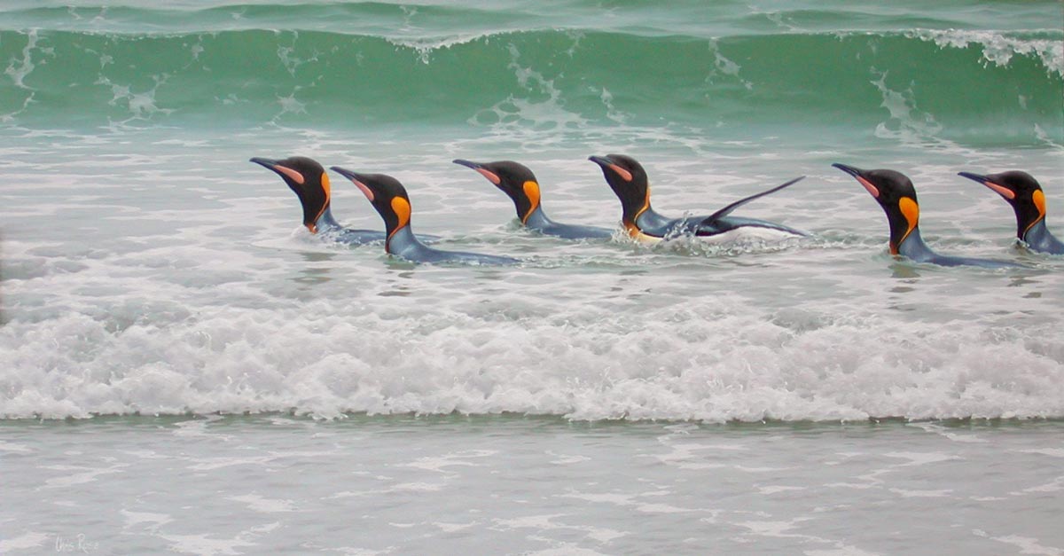 Submissions welcomed for prestigious wildlife art exhibition - BirdGuides