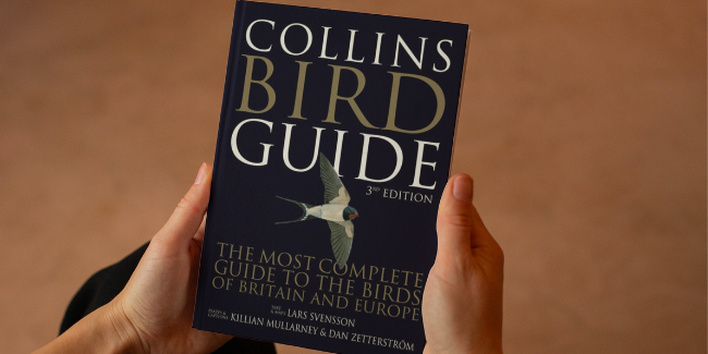 Forthcoming in the Bookshop: summer 2022 - BirdGuides