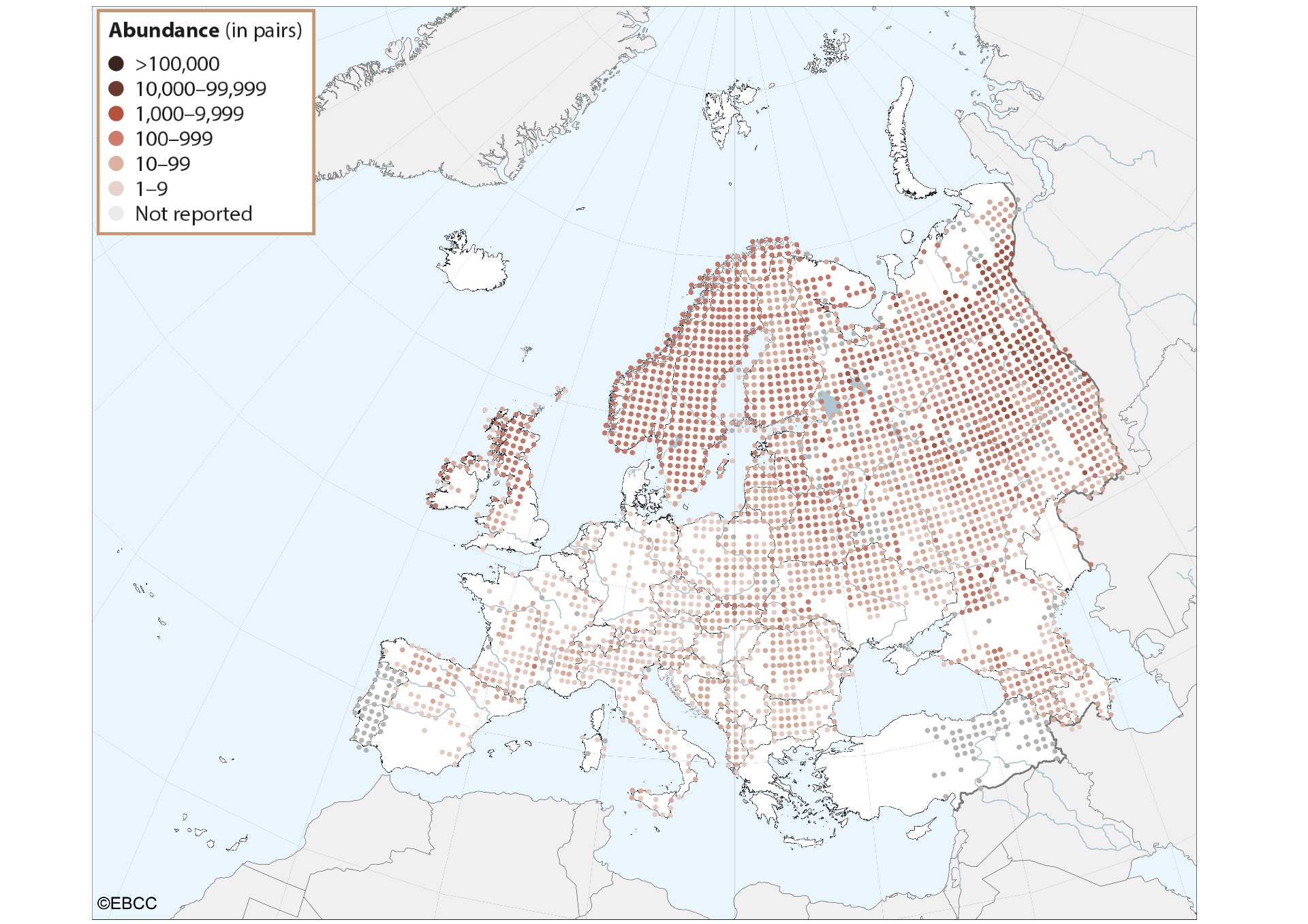 Europe's breeding birds reassessed in new publication - BirdGuides