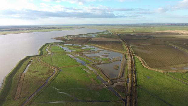 'Stunning' new Norfolk wetland opens to public - BirdGuides