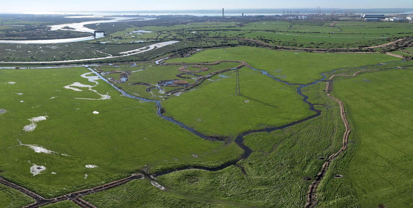 Drought 'biggest threat' to UK nature reserves, say Wildlife Trusts ...