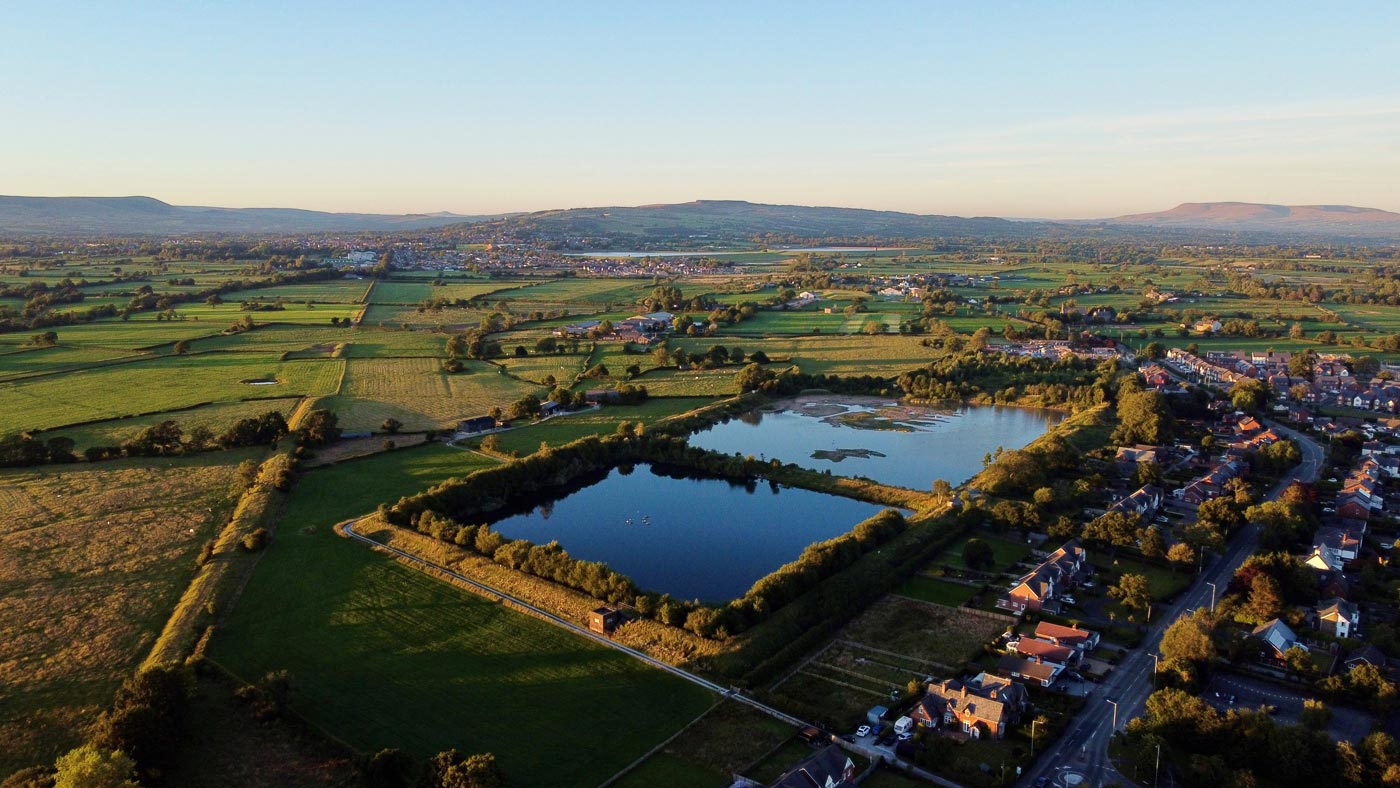 Record Whimbrel count made at Lancashire wetland - BirdGuides