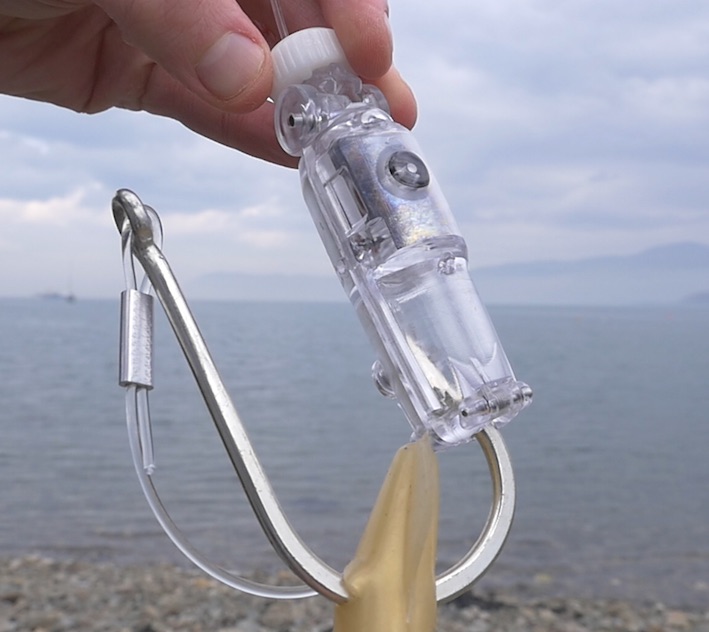 New Zealand becomes first country to adopt Hookpod - BirdGuides