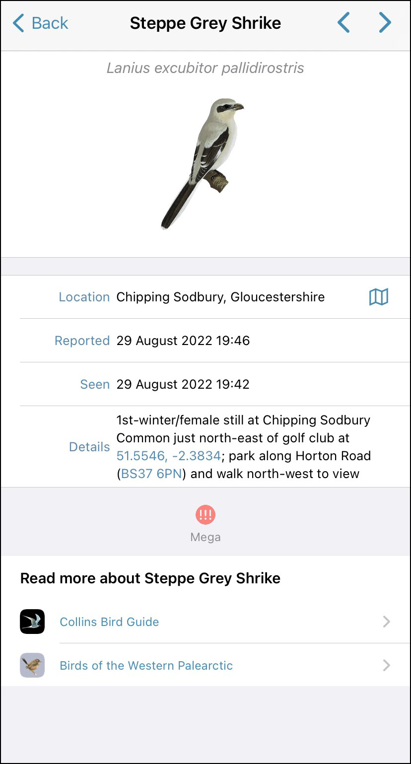 The updated BirdGuides news app is now available! - BirdGuides