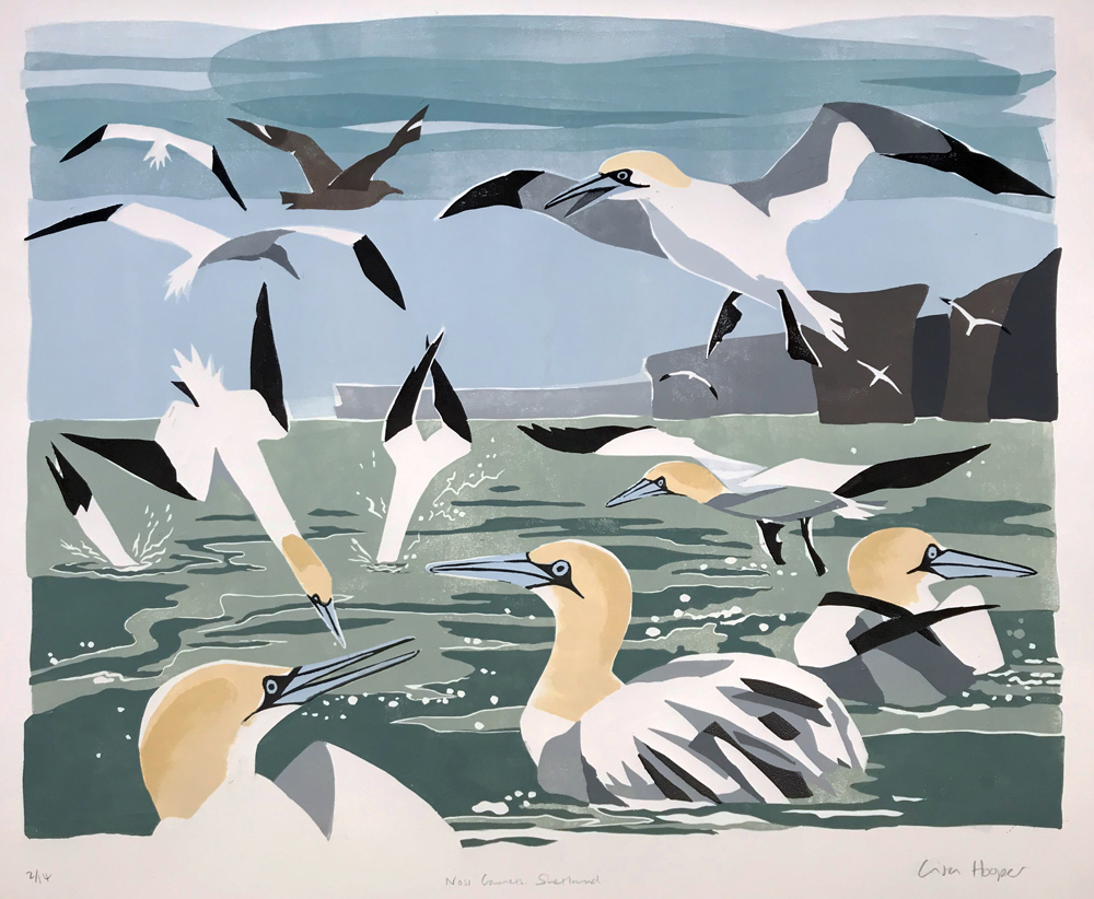 SOC announces spring art exhibition - BirdGuides