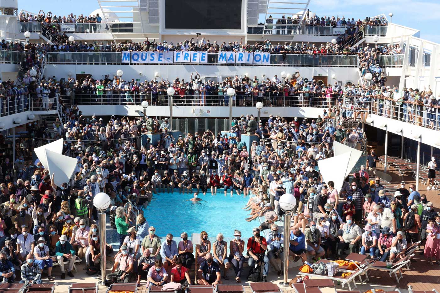 Flock to Marion voyage scheduled for January 2025 - BirdGuides