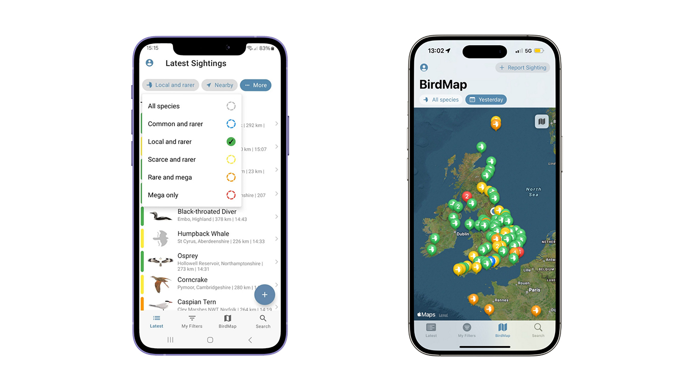 The all-new BirdGuides app is now available to download! - BirdGuides