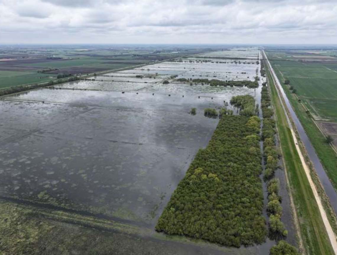 High water levels wreak havoc at Ouse Washes - BirdGuides