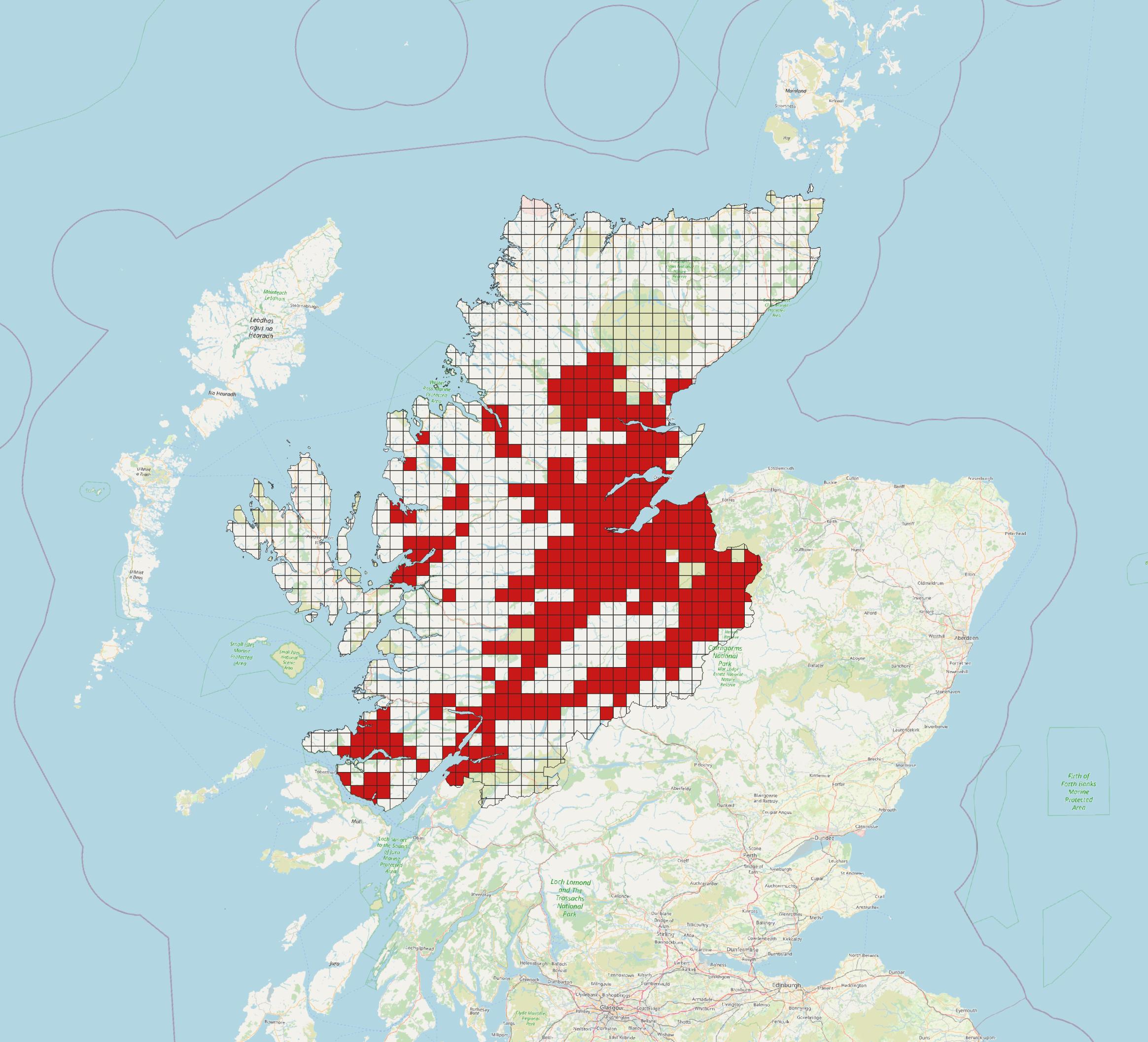 Red Squirrel range expands by 25% in Scottish Highlands after ...