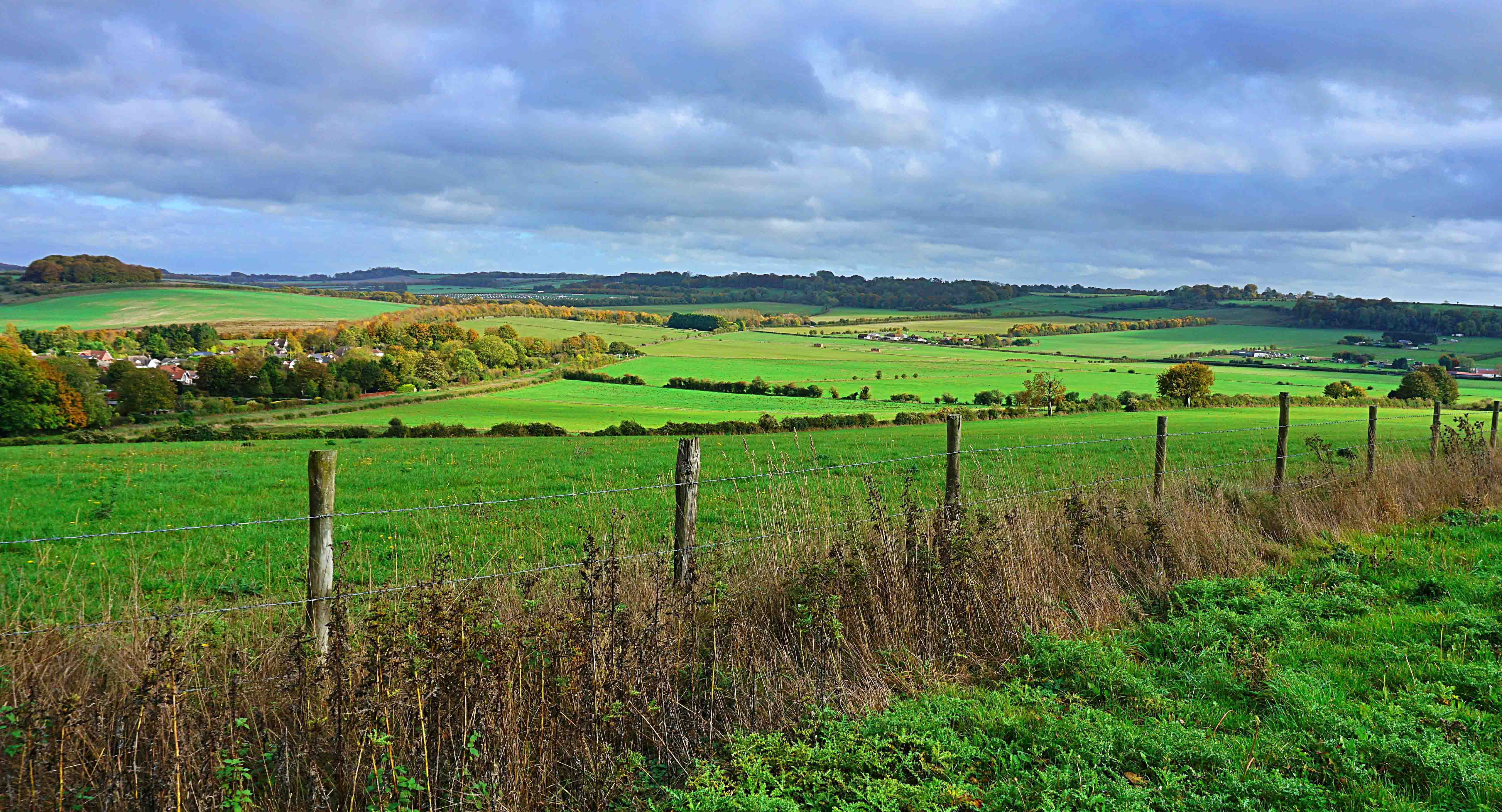 Wiltshire dairy farm to be turned into nature reserve - BirdGuides