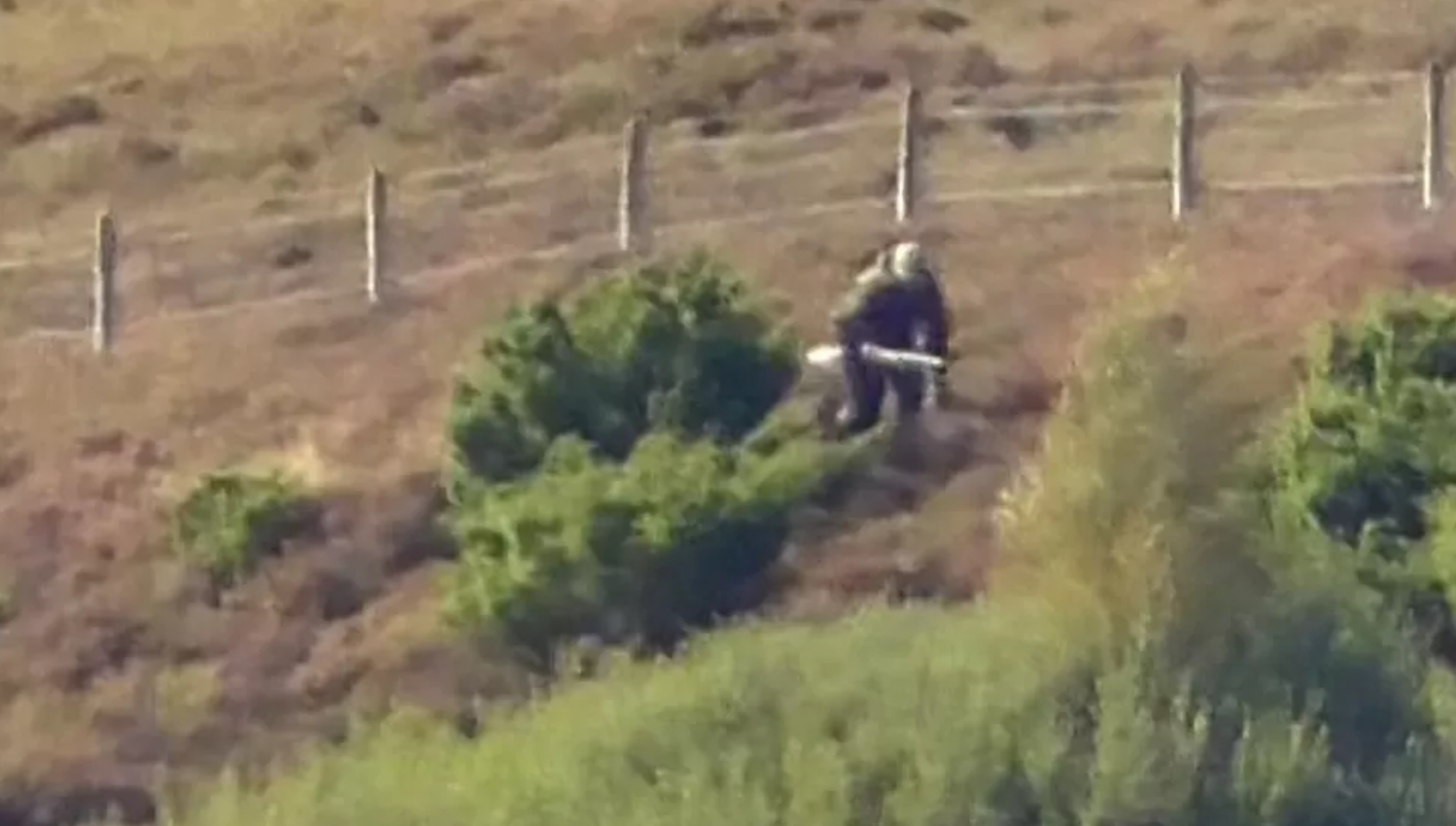 Gamekeeper filmed shooting sparrowhawk - BirdGuides