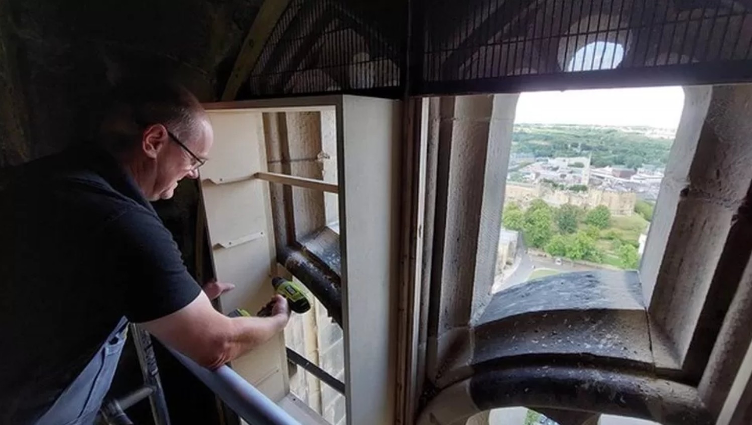 Swift boxes installed at Durham Cathedral - BirdGuides